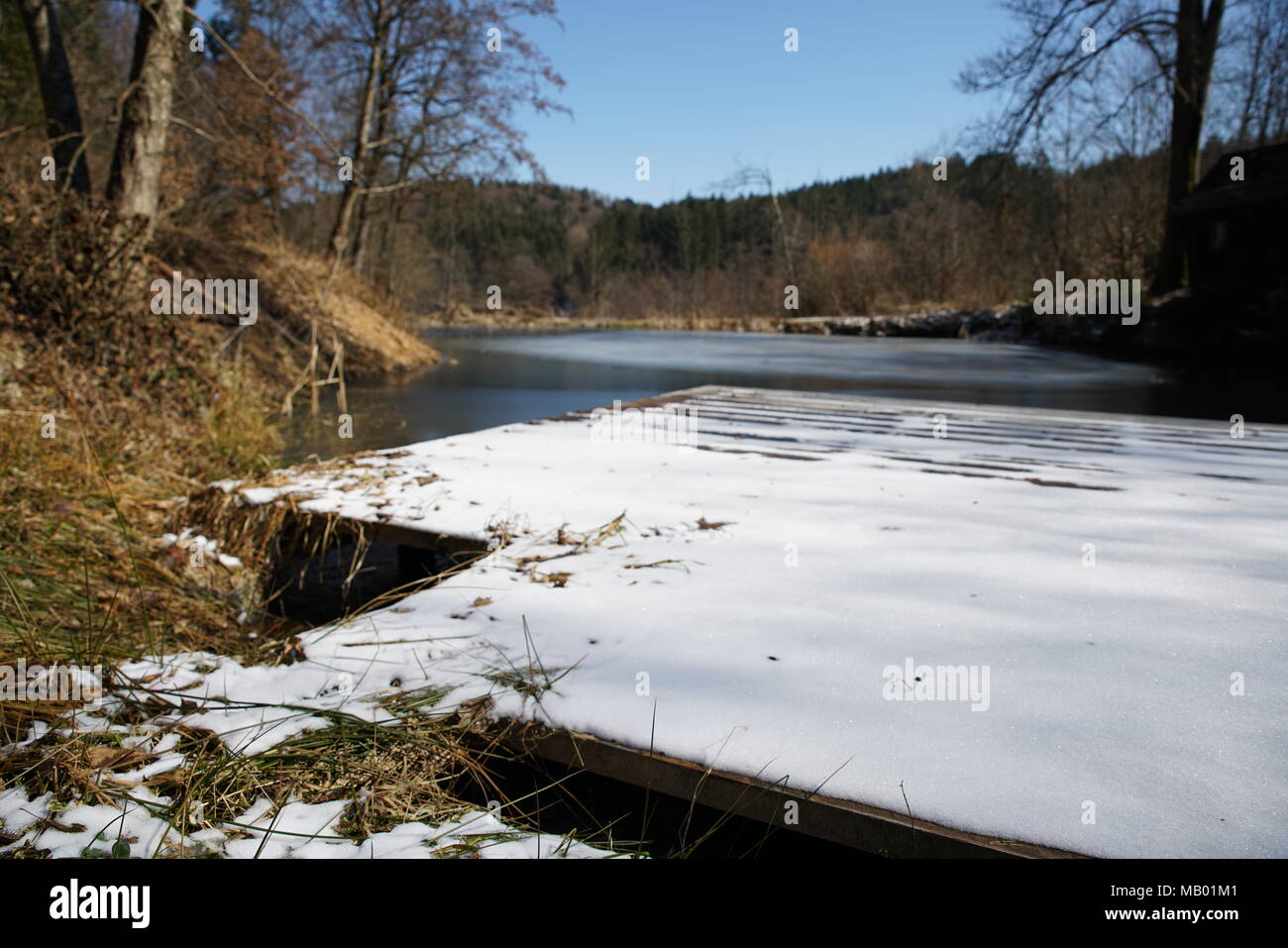 Frozen brook in winter in Bavaria and a Bavarian needle forest in ...