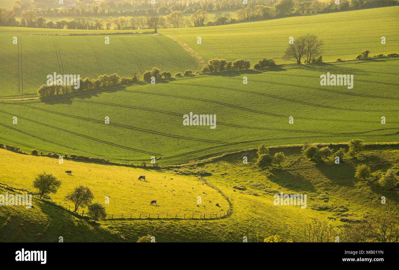 View from the top of Butser Hill in Hampshire Stock Photo - Alamy