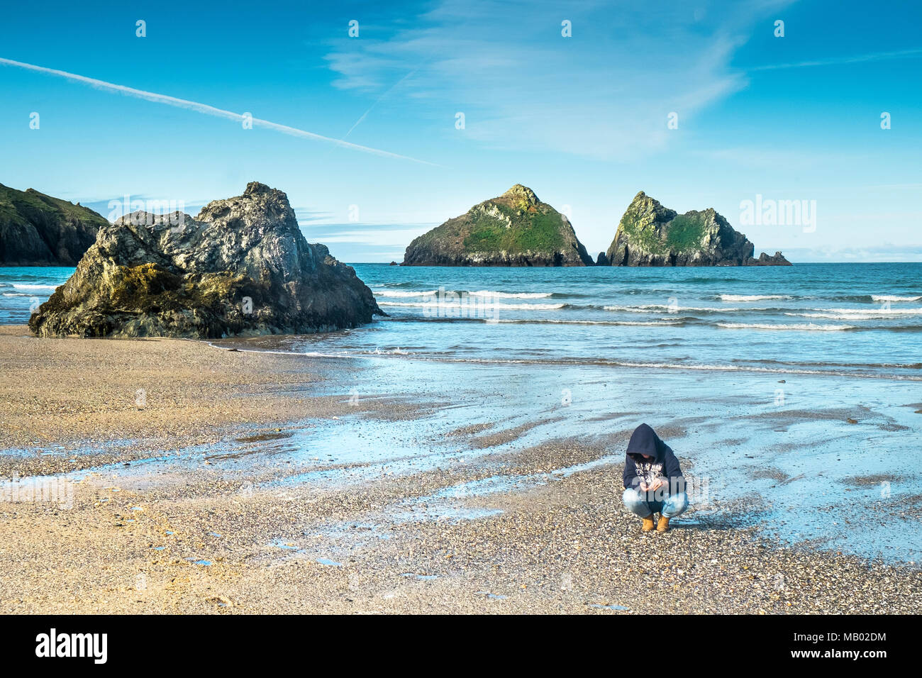 Examining shells hi-res stock photography and images - Alamy