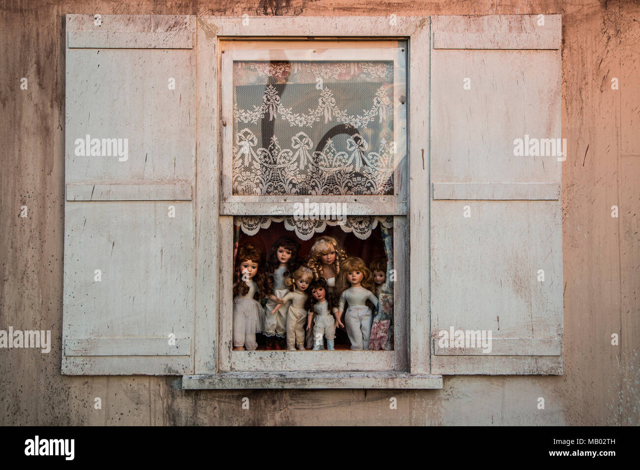 Window full of old dolls Stock Photo - Alamy