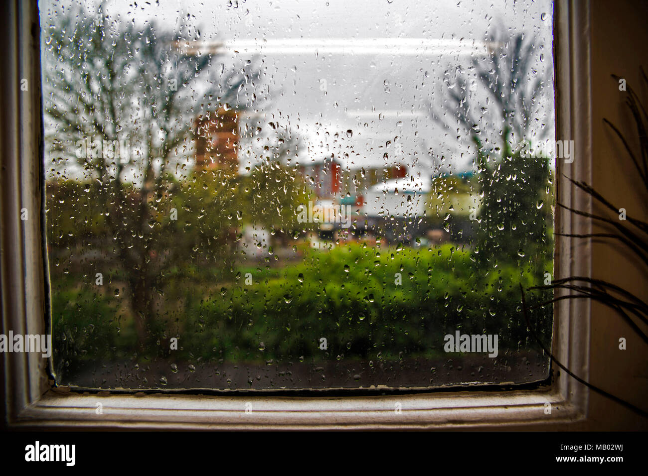 Looking through a window at the rain Stock Photo - Alamy