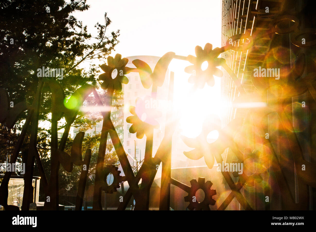 Sun flares pouring through a metal fence Stock Photo - Alamy