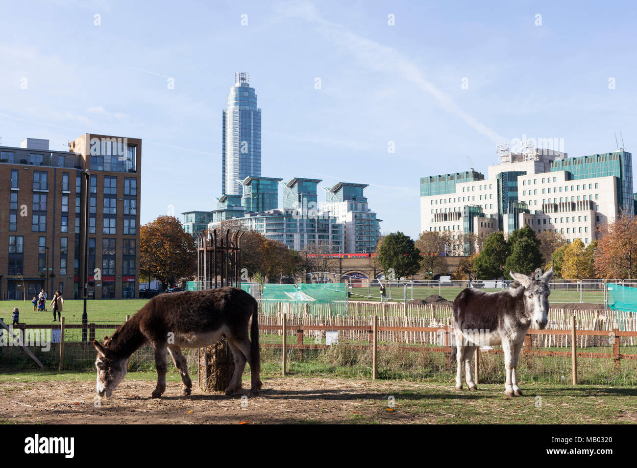 Vauxhall City Farm with the St George Wharf Tower in the background ...