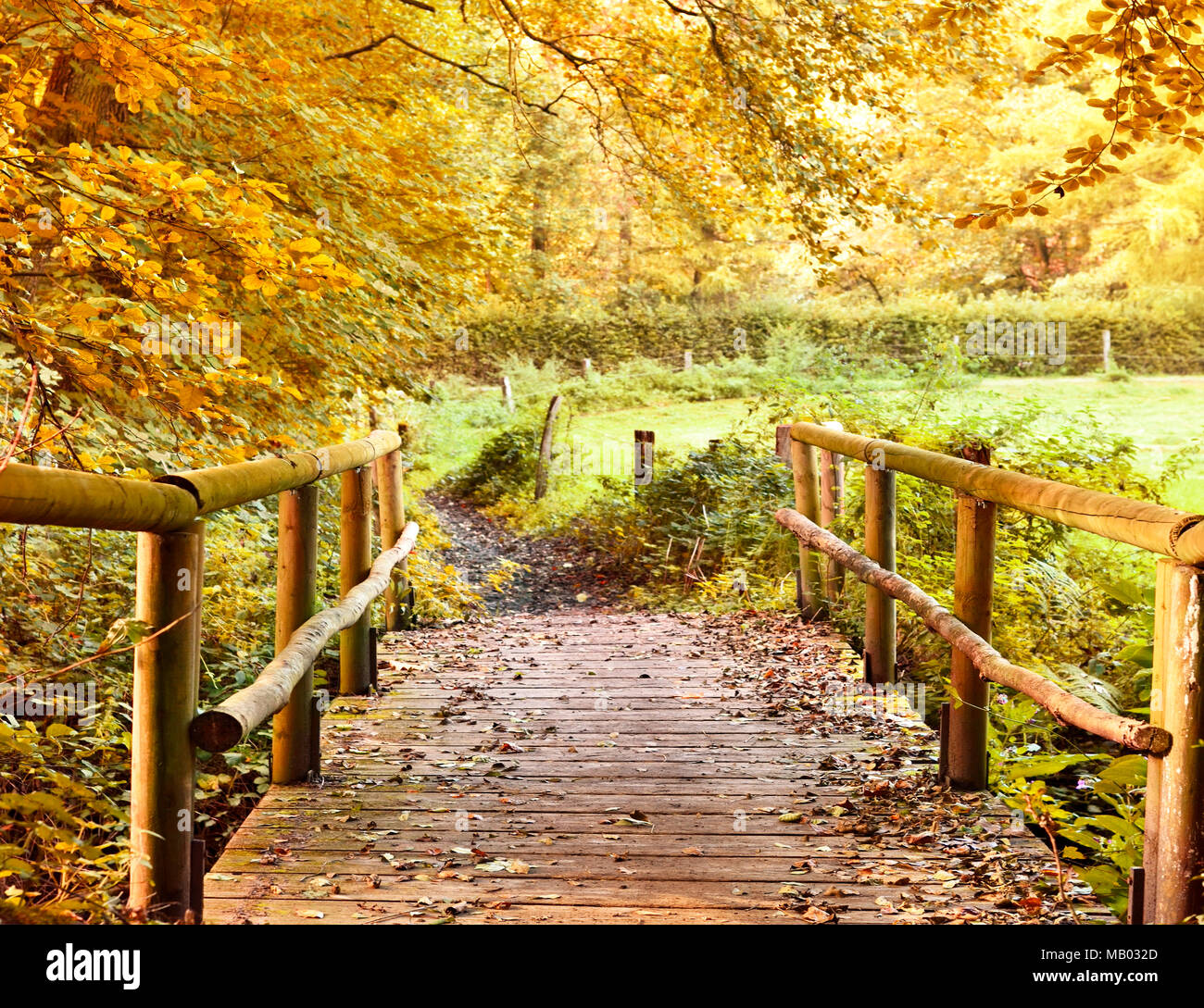 Bridge footpath hi-res stock photography and images - Alamy