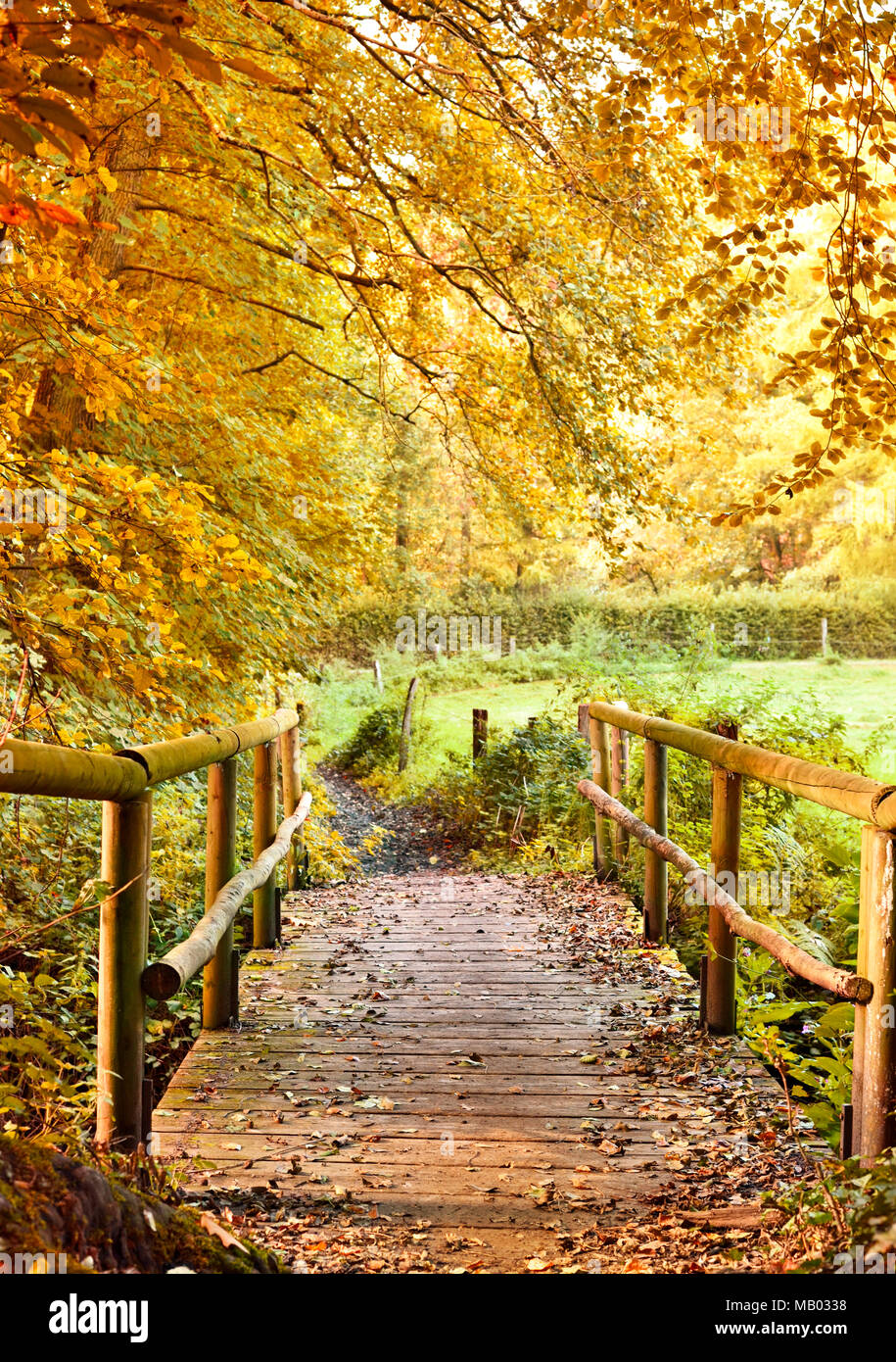 Idyllic autumn scene with wooden bridge or footbridge and sunlight ...