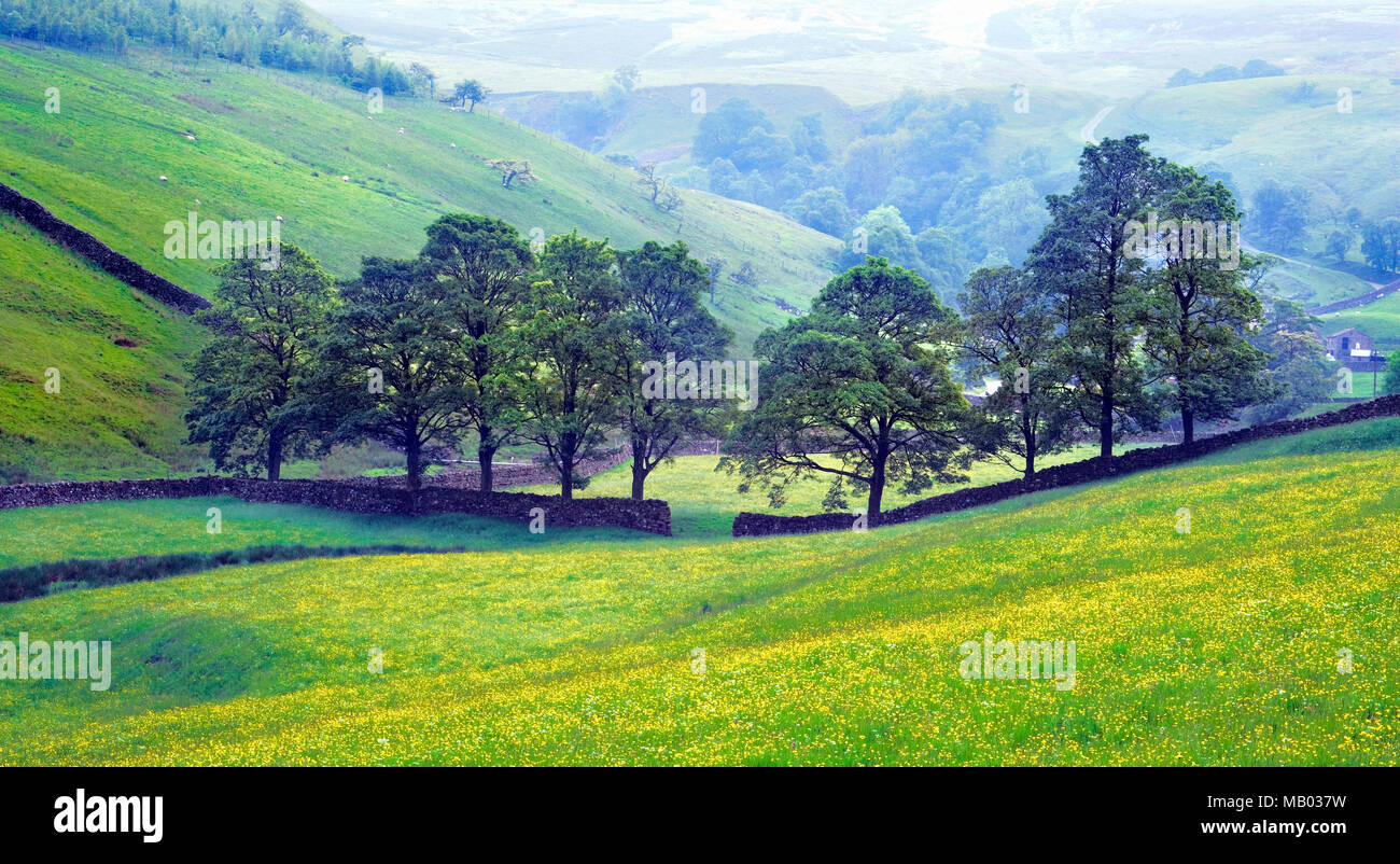 A summer view of the countryside near Gunnerside in North Yorkshire ...