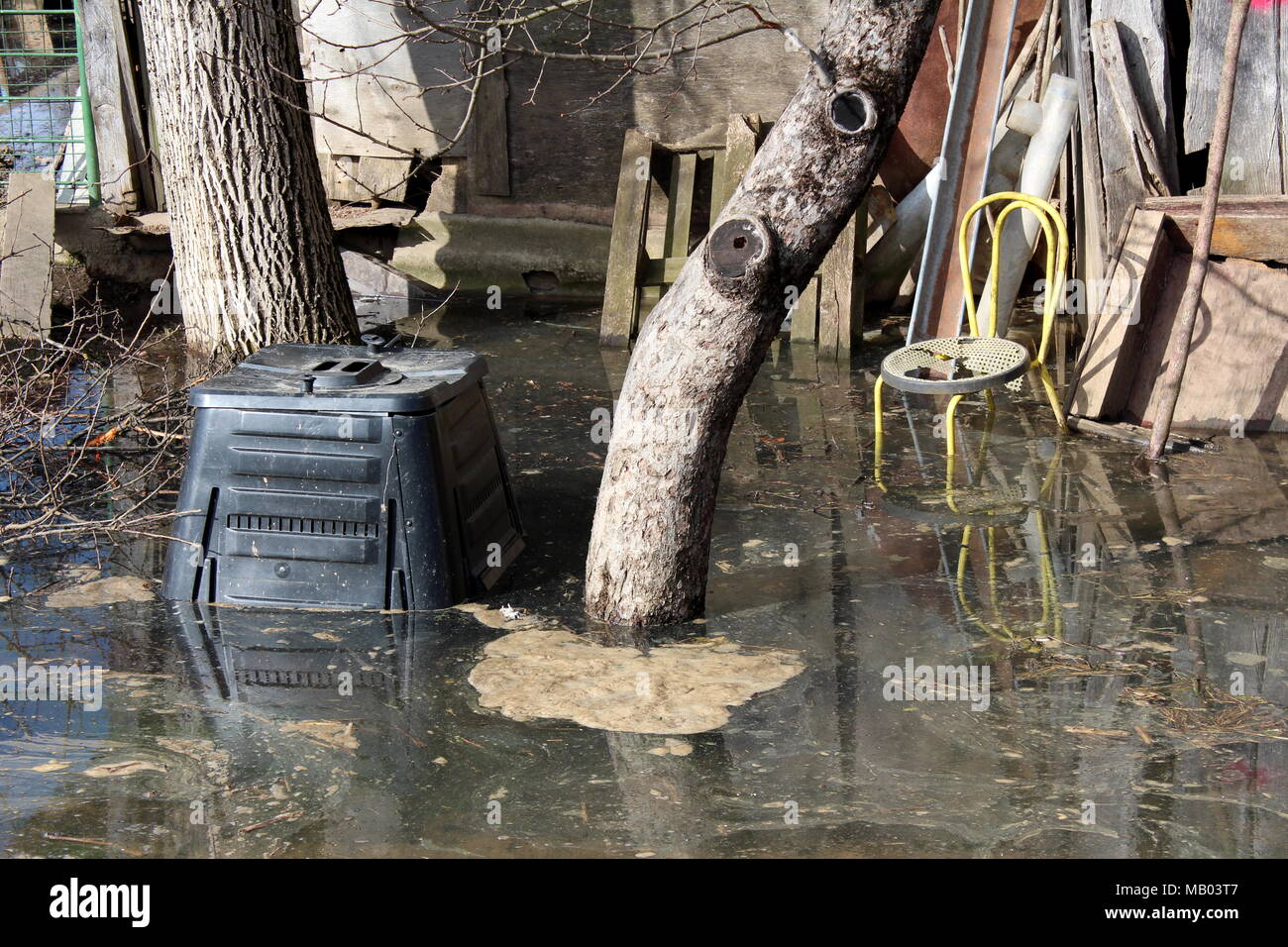 Flooded backyard with trees, branches, dirty water, compost bin and ...