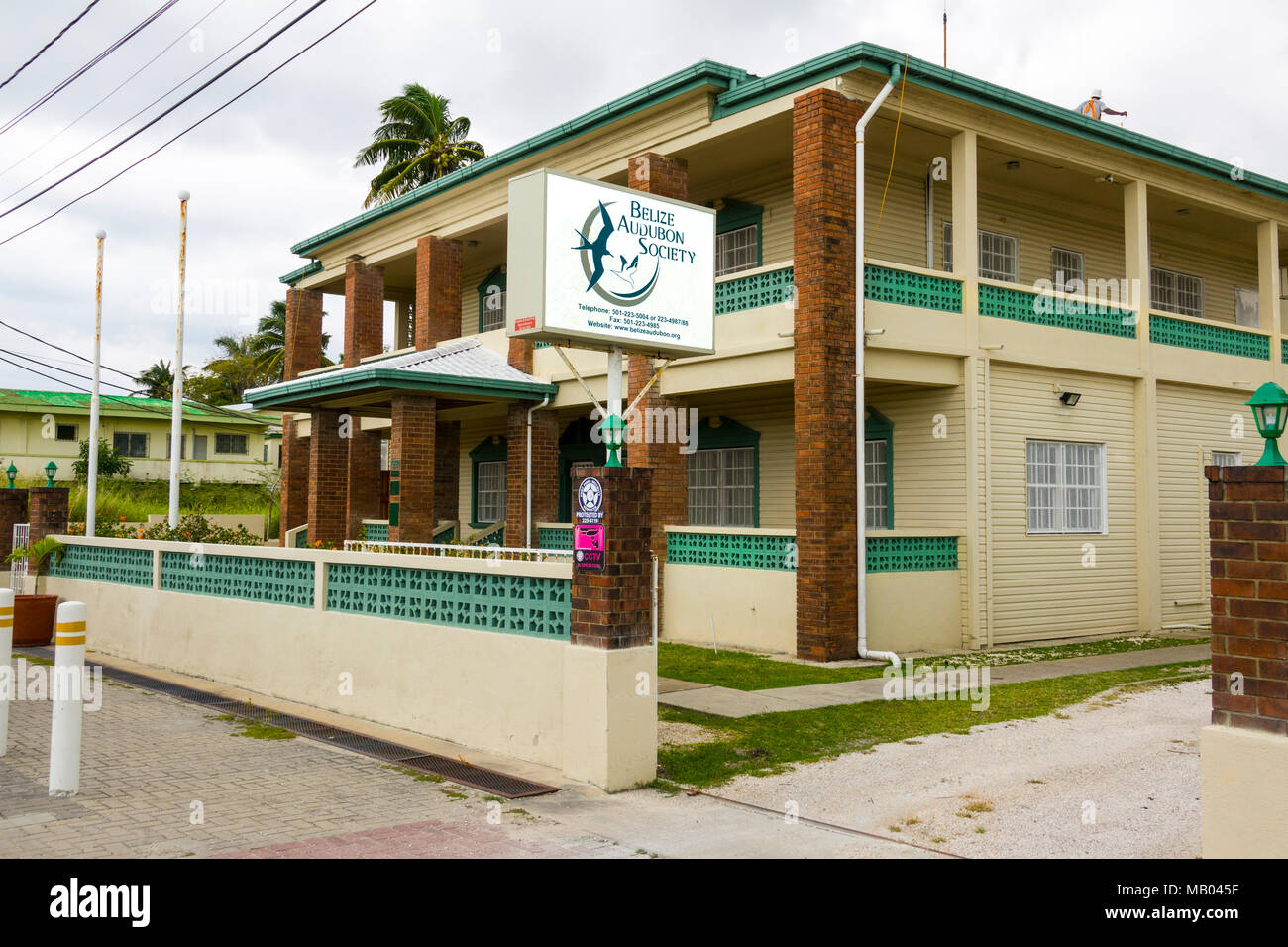 Audobon society hi-res stock photography and images - Alamy