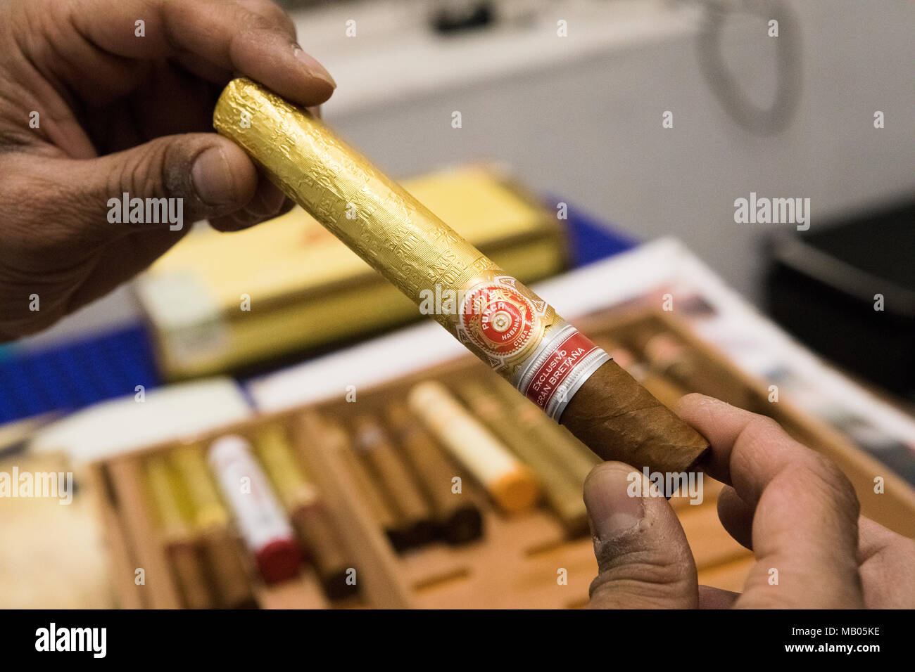 Quality cigar hi-res stock photography and images - Alamy