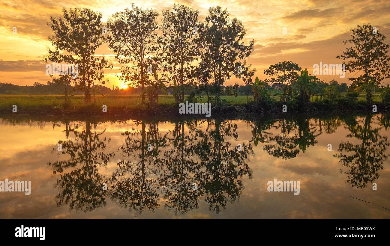Silhouette View Of Tree Reflection On Water At Morning Sky Background ...