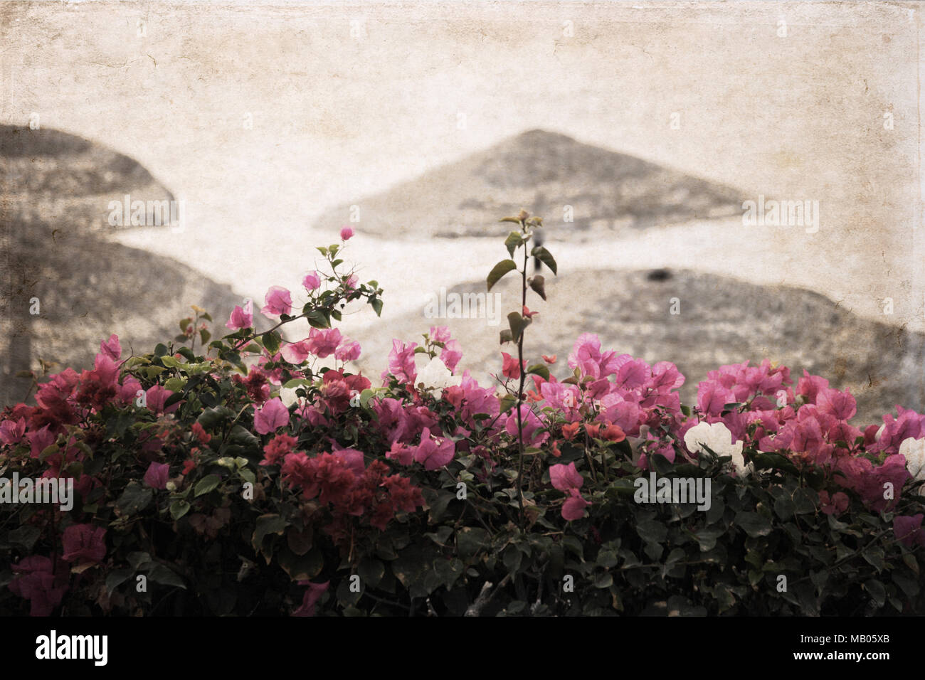 Retro style flowers hi-res stock photography and images - Alamy