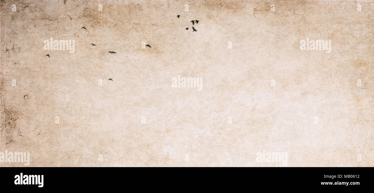 Artwork in retro style, flying birds on the old paper background Stock ...