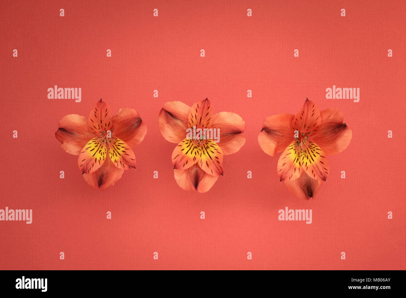 Three heads view hi-res stock photography and images - Alamy