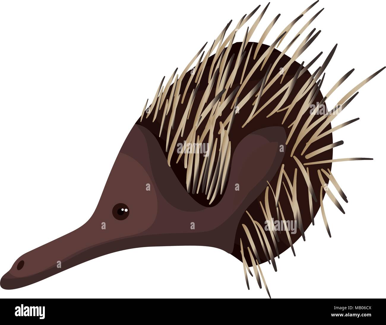 Australian rodent Cut Out Stock Images & Pictures - Alamy