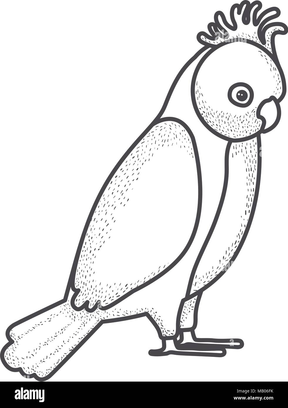 Australian native cockatoo Cut Out Stock Images & Pictures - Alamy