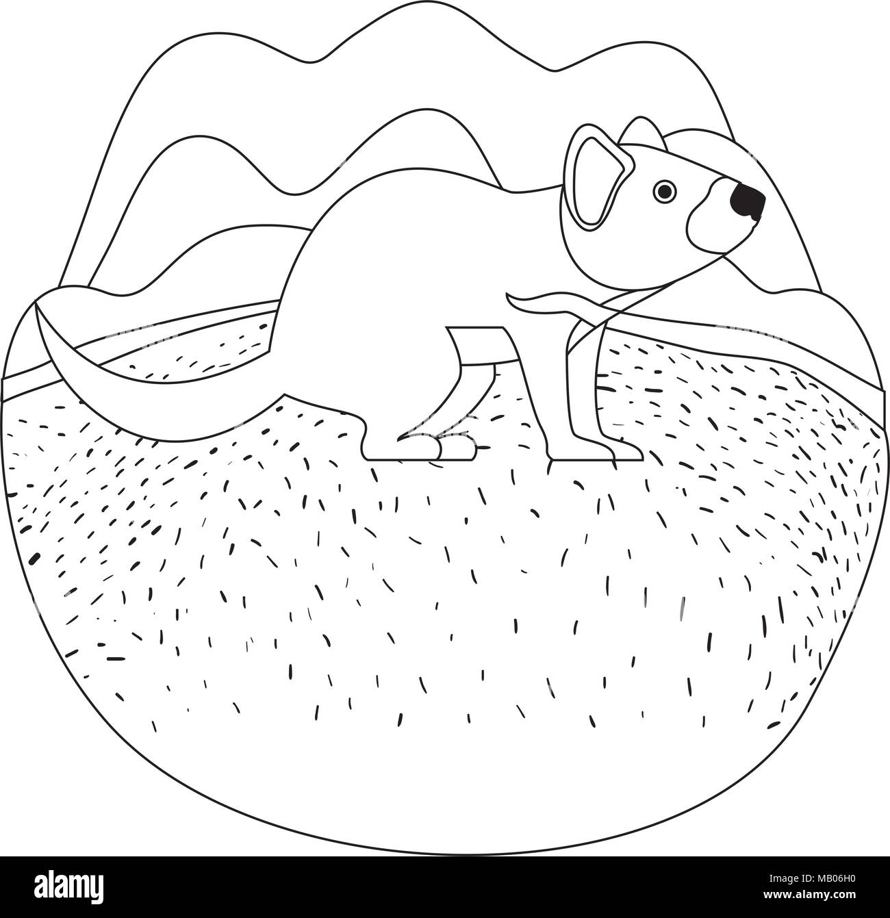 Wild safari camp Black and White Stock Photos & Images - Alamy