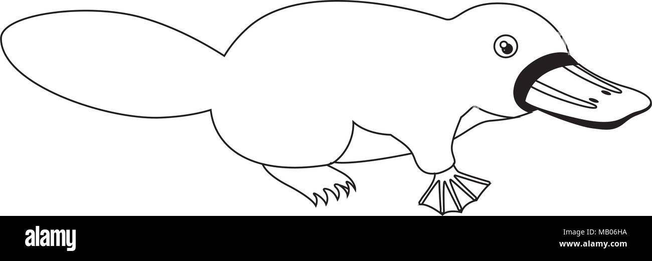 How To Draw An Australian Platypus