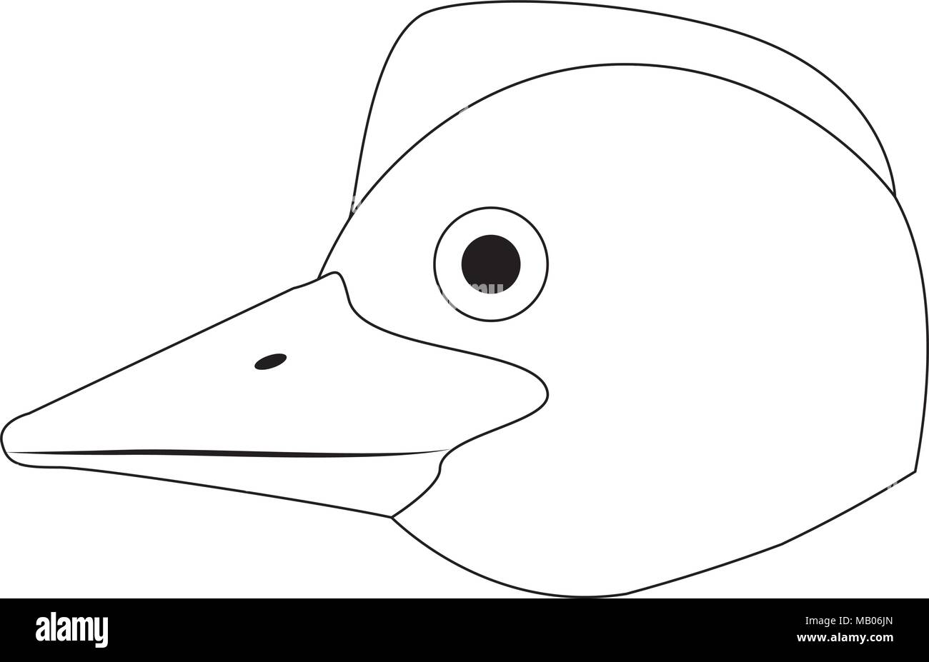 Ostrich bird head neck Black and White Stock Photos & Images - Alamy