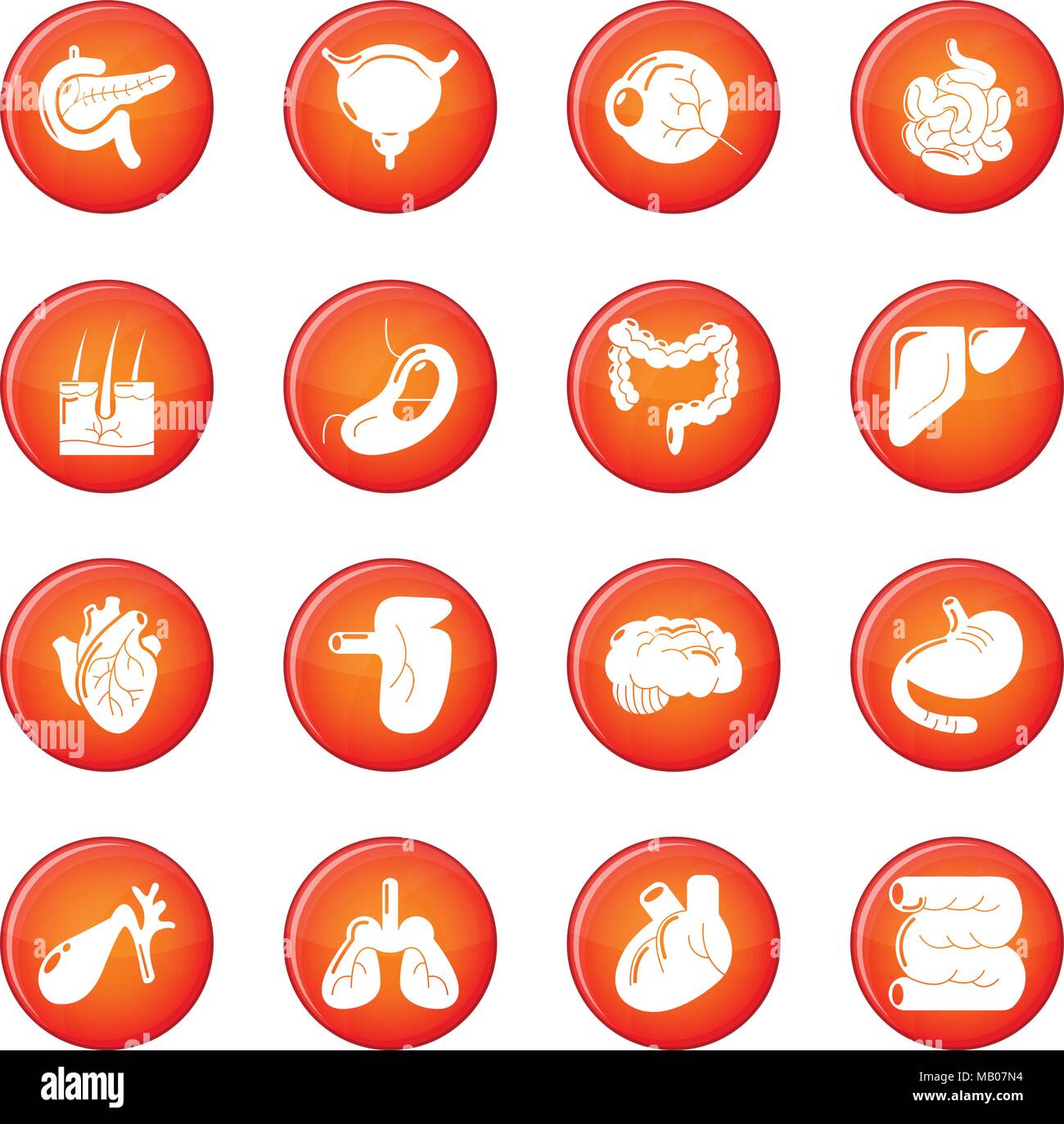Internal human organs icons set red vector Stock Vector Image & Art - Alamy