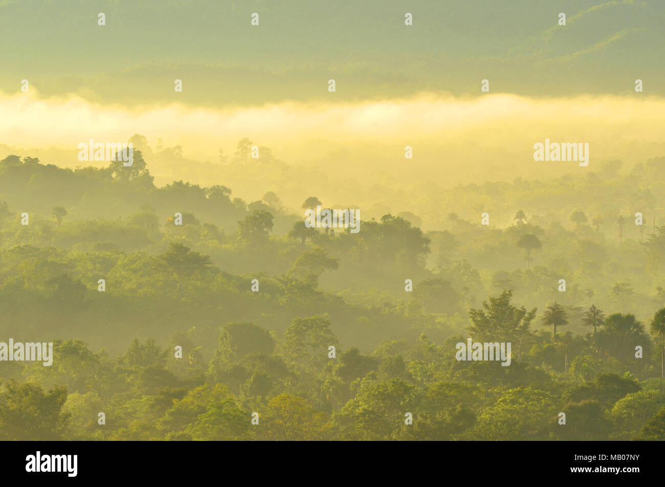 Tropical Mountain Climate High Resolution Stock Photography and Images ...