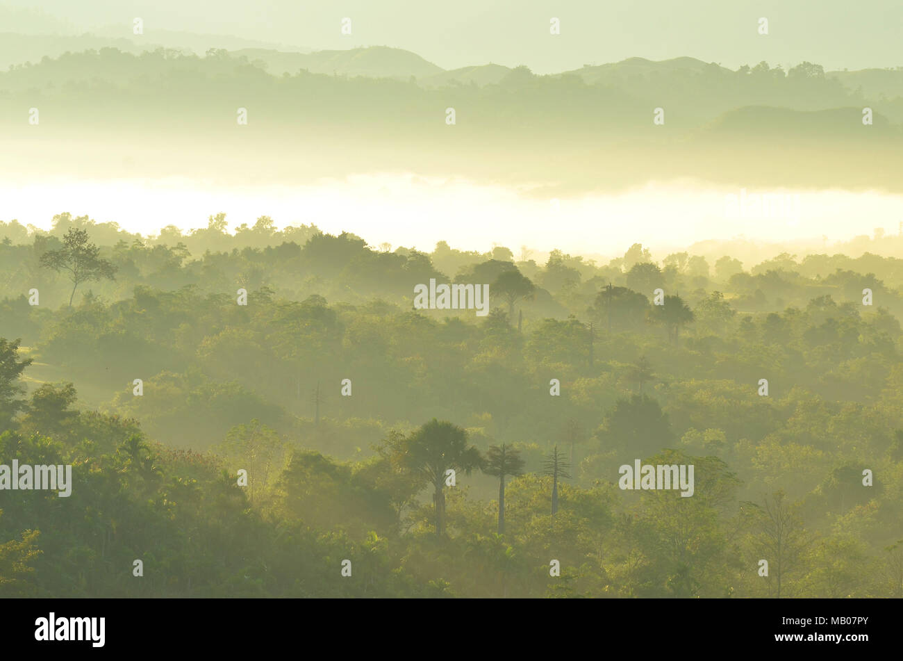 Tropical Mountain Climate High Resolution Stock Photography and Images ...