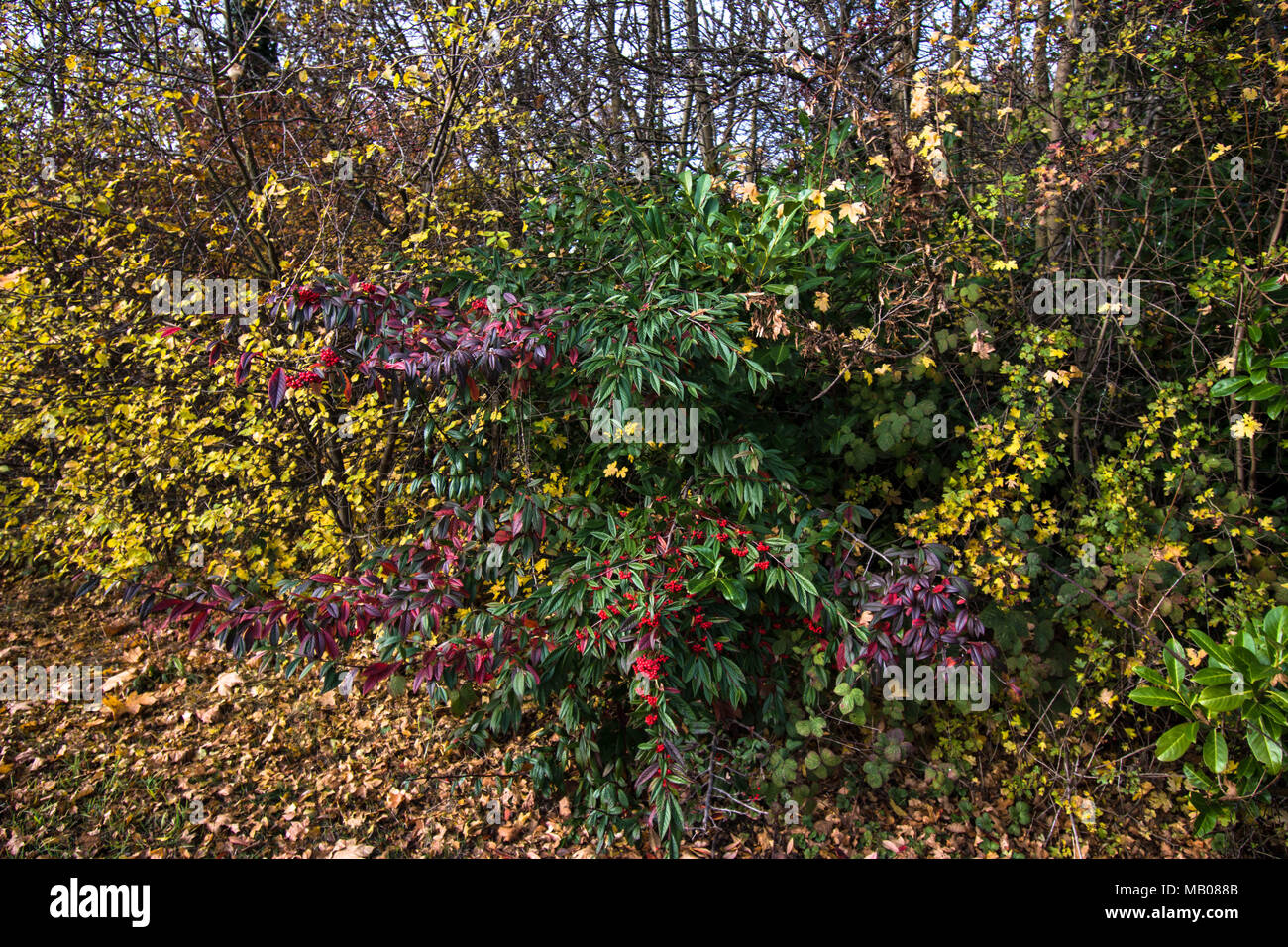 Harpole church hi-res stock photography and images - Alamy