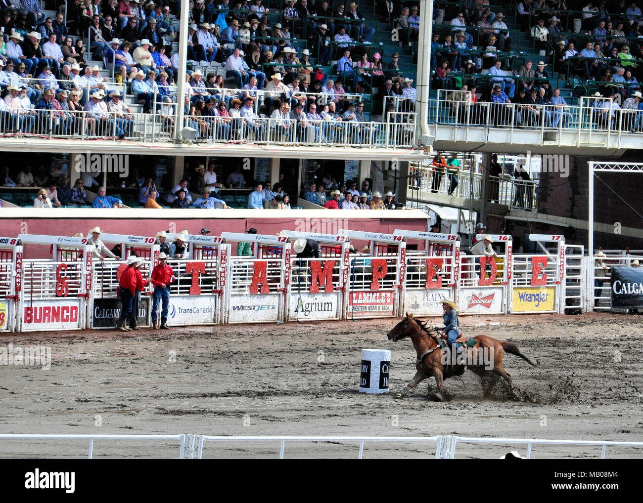 Grandstand show at calgary stampede hi-res stock photography and images ...