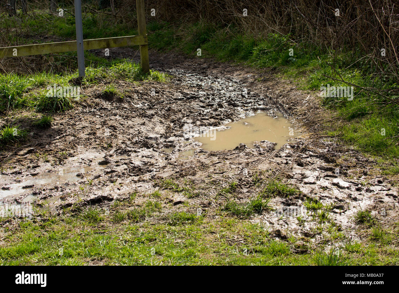 Muddy shoes hi-res stock photography and images - Alamy