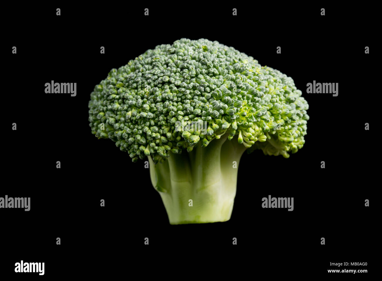 Broccoli floret grown in Spain and sold in a UK supermarket, Brassica ...