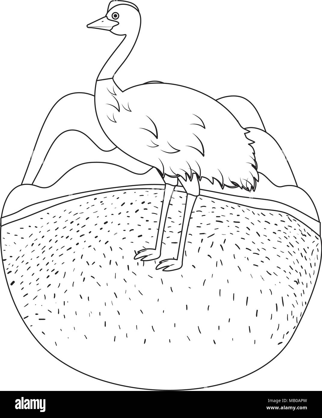 Curious bird in nature Black and White Stock Photos & Images - Alamy