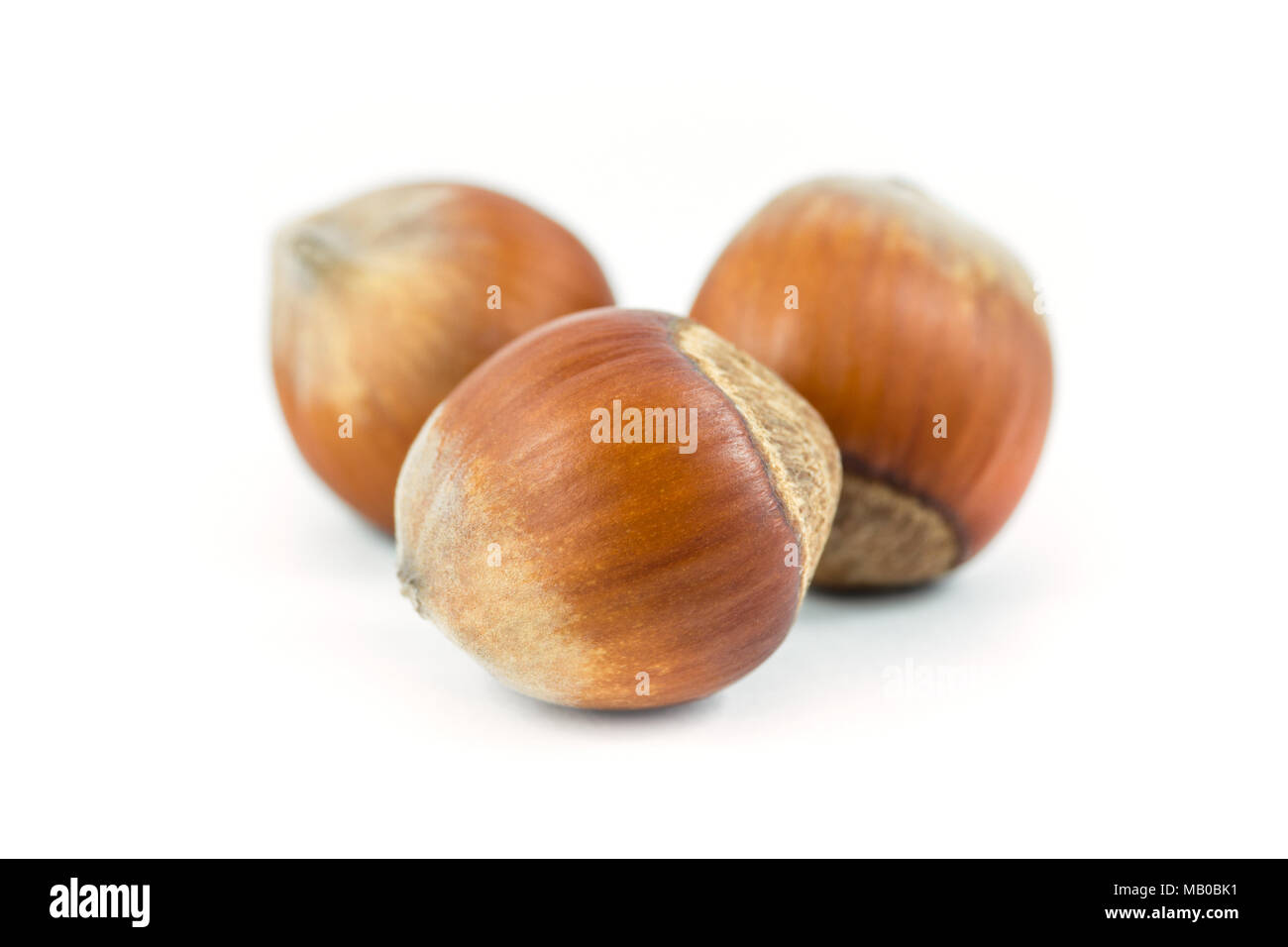 Isolated hazelnuts on white background, food Stock Photo - Alamy