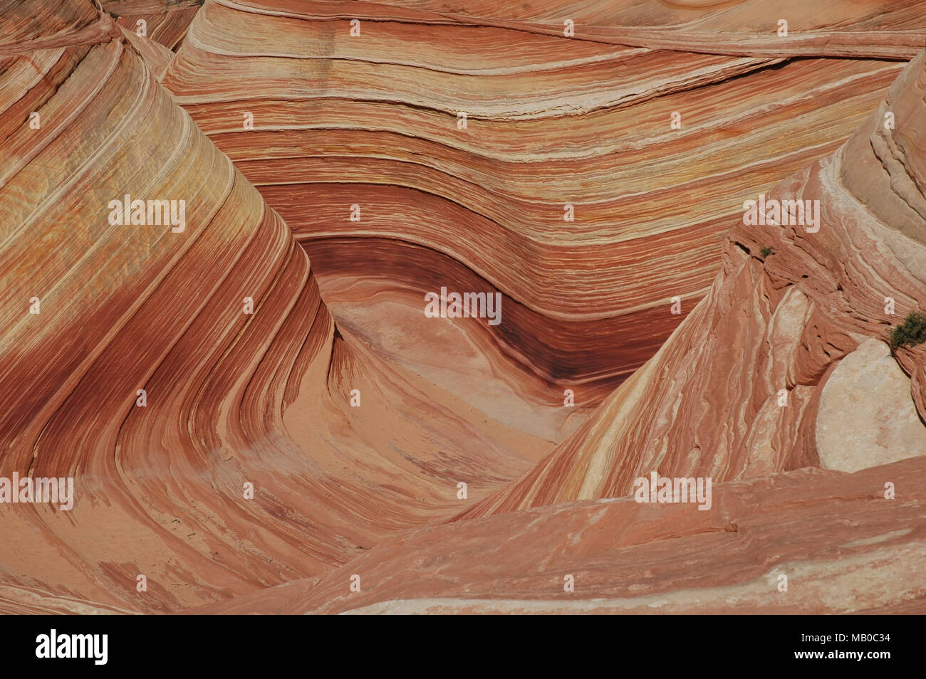 The Wave is a famous landmark known for it’s undulating shape and ...