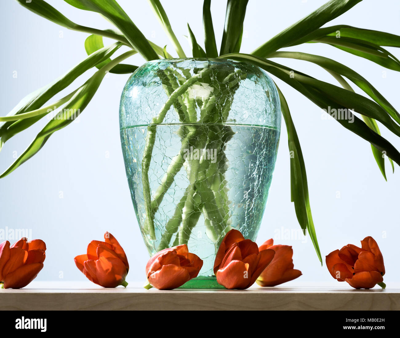Conceptual rejection or anger image of glass flower vase with cut red ...