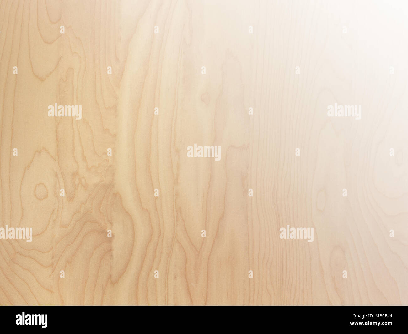 Subtle light brown tan smooth birch wood grain abstract background ...