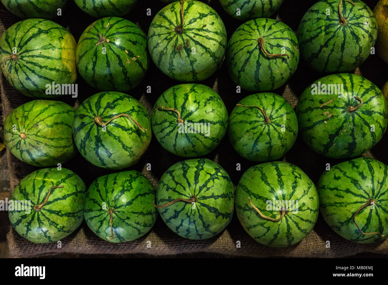 Lines of watermelon hi-res stock photography and images - Alamy