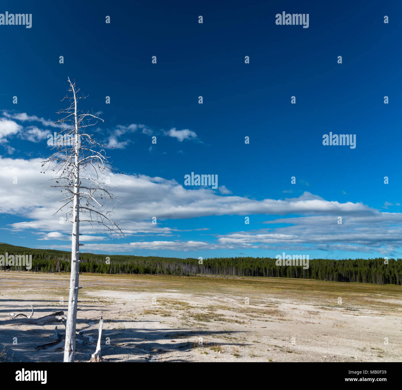Barren wasteland hi-res stock photography and images - Alamy
