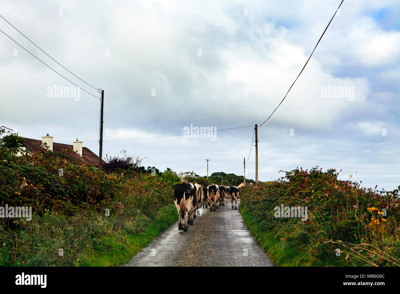Background backroads hi-res stock photography and images - Alamy