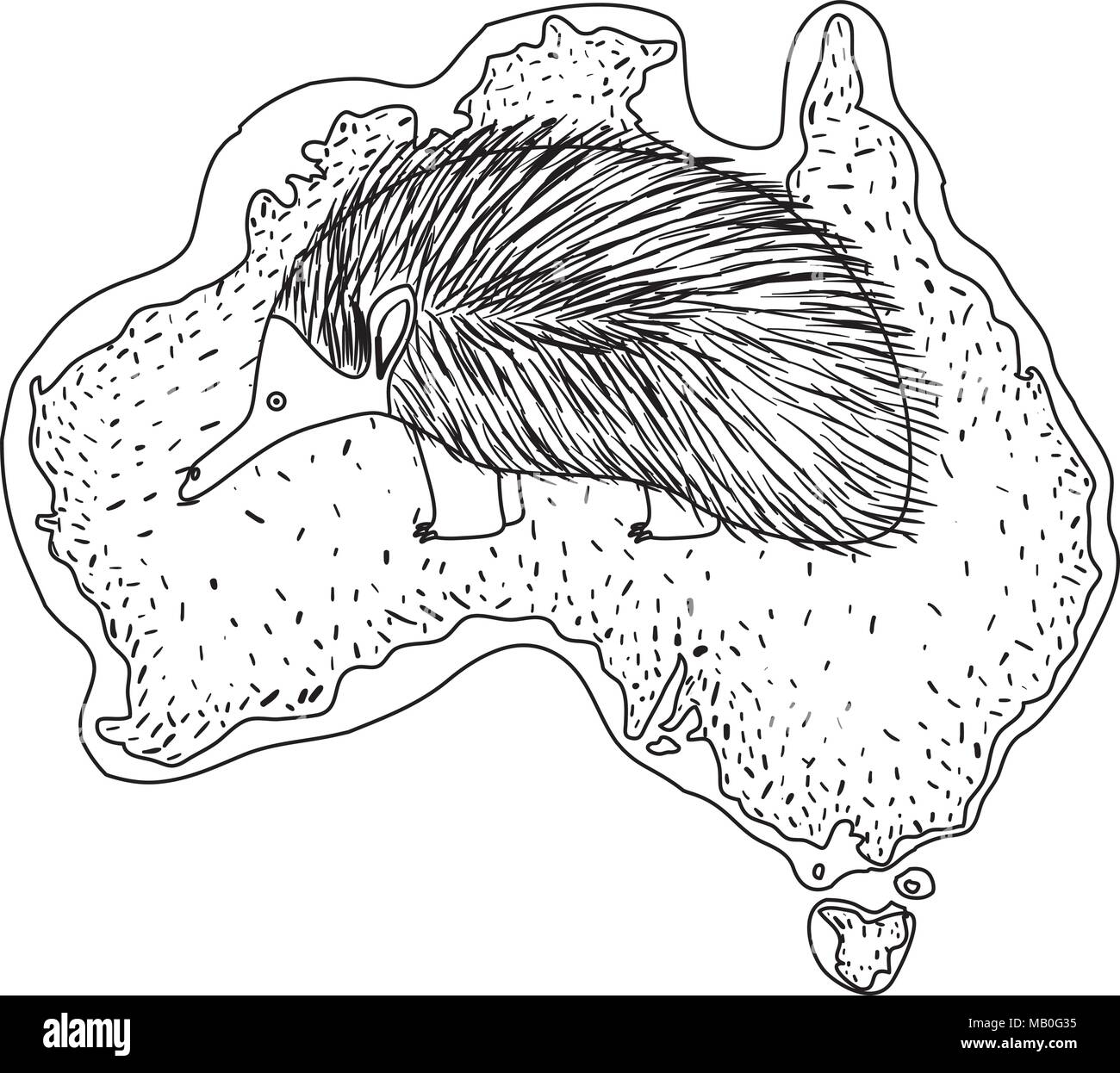 wild echidna over australian map Stock Vector Image & Art - Alamy