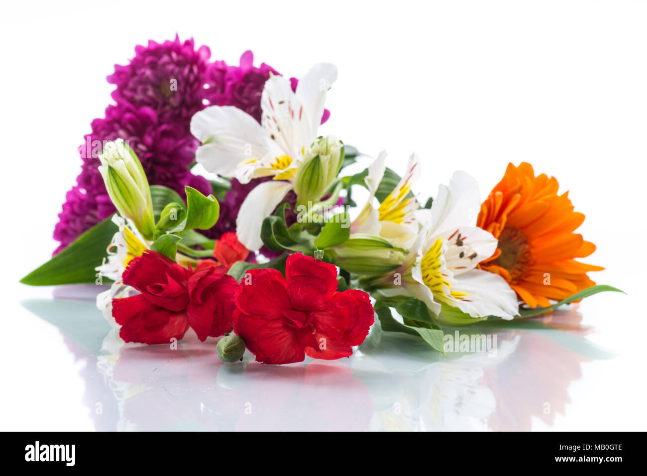 Set different beautiful gerbera hi-res stock photography and images - Alamy