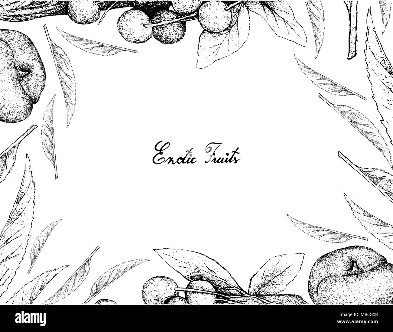 Exotic Fruit, Illustration Frame of Hand Drawn Sketch of Ripe Angel ...