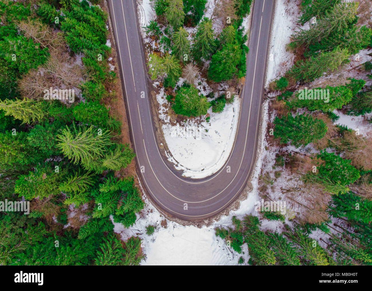 aerial view of road in the forest Stock Photo - Alamy