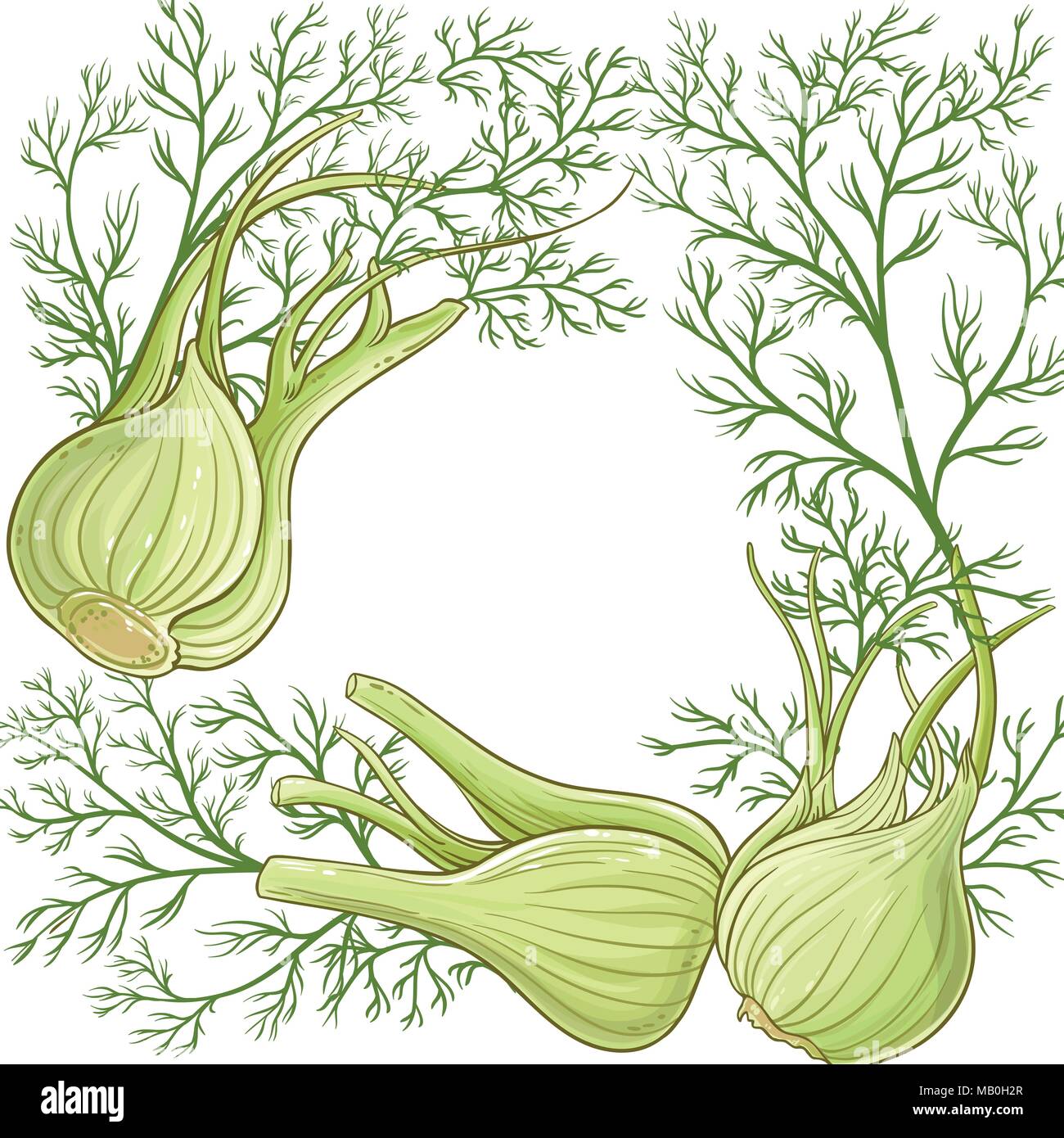 fennel plant vector frame on white background Stock Vector Image & Art ...