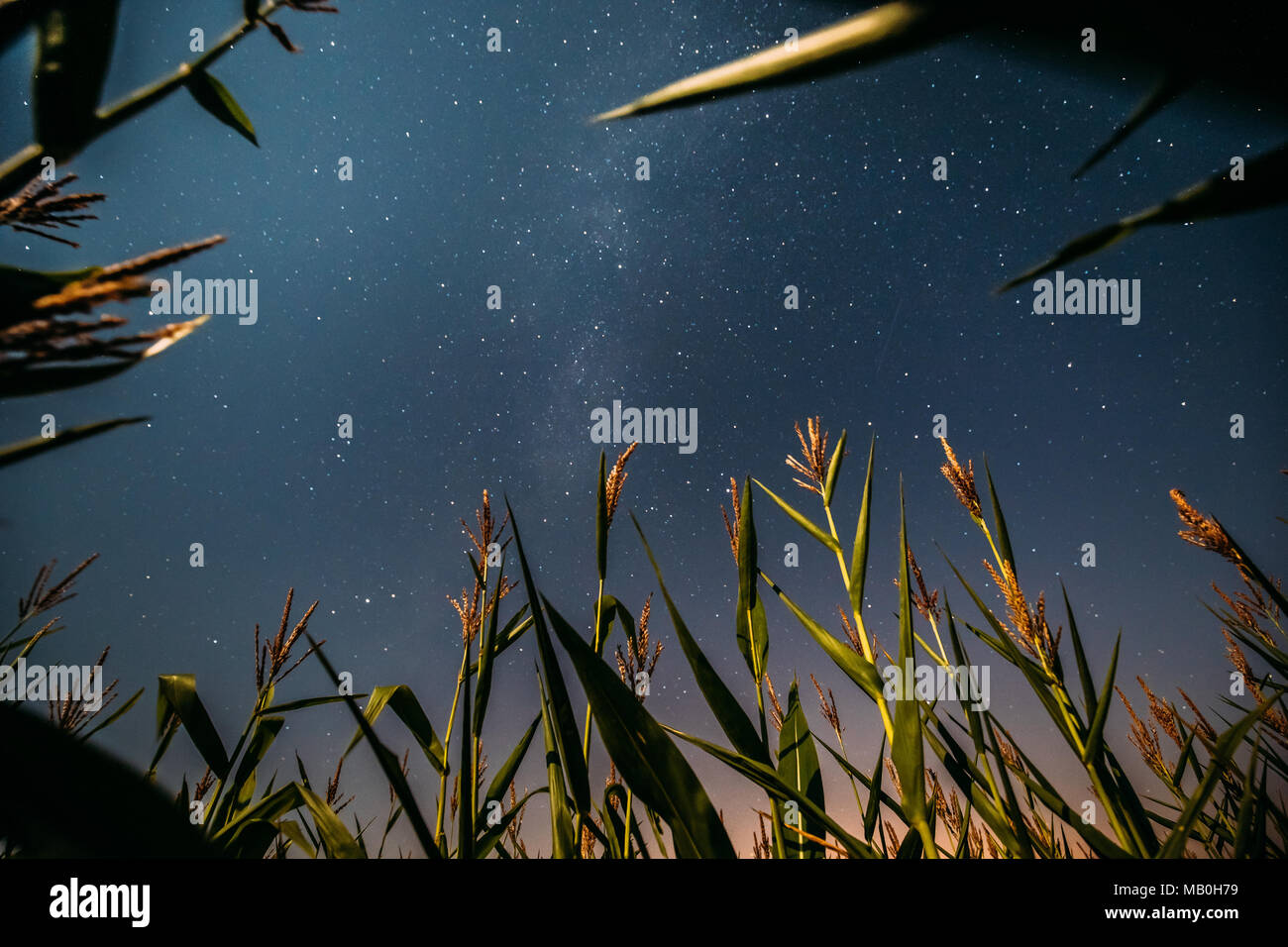 Scenic night bottom view hi-res stock photography and images - Alamy