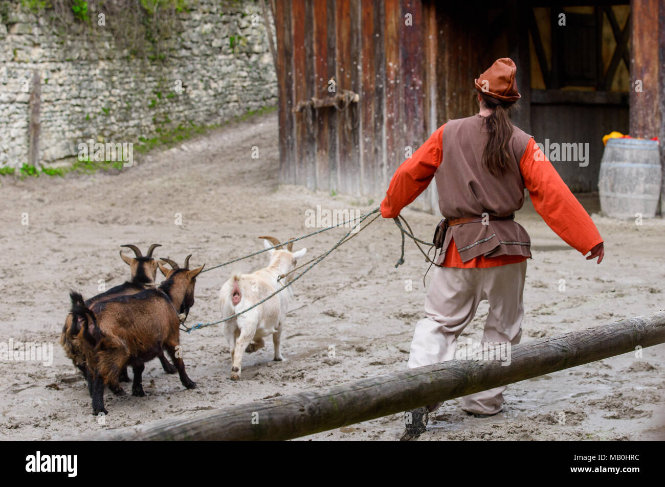 PROVINS, FRANCE - MARCH 31, 2018: Unidentified man carries the goats ...