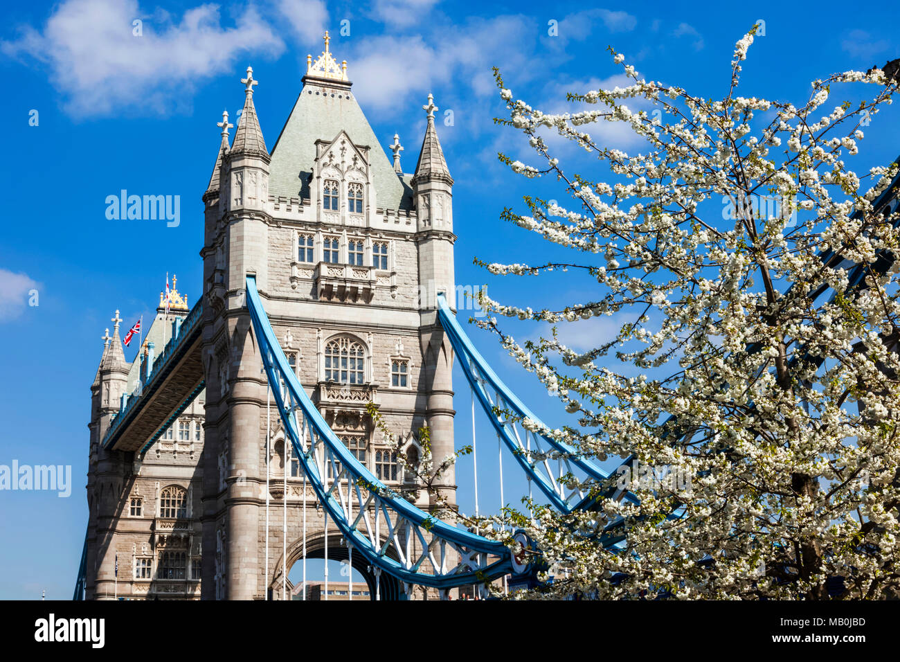 London tower bridge blossom hi-res stock photography and images - Alamy