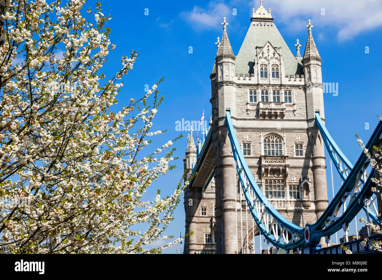 Tower bridge with spring blossom hi-res stock photography and images ...