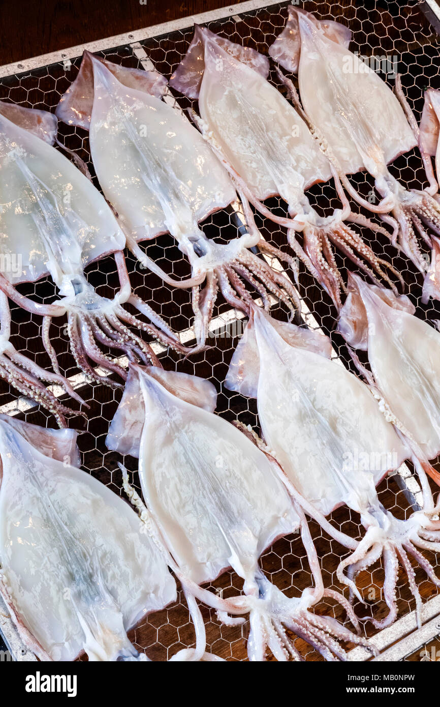 Japan, Hoshu, Shizuoka Prefecture, Atami, Cuttlefish Drying Stock Photo ...
