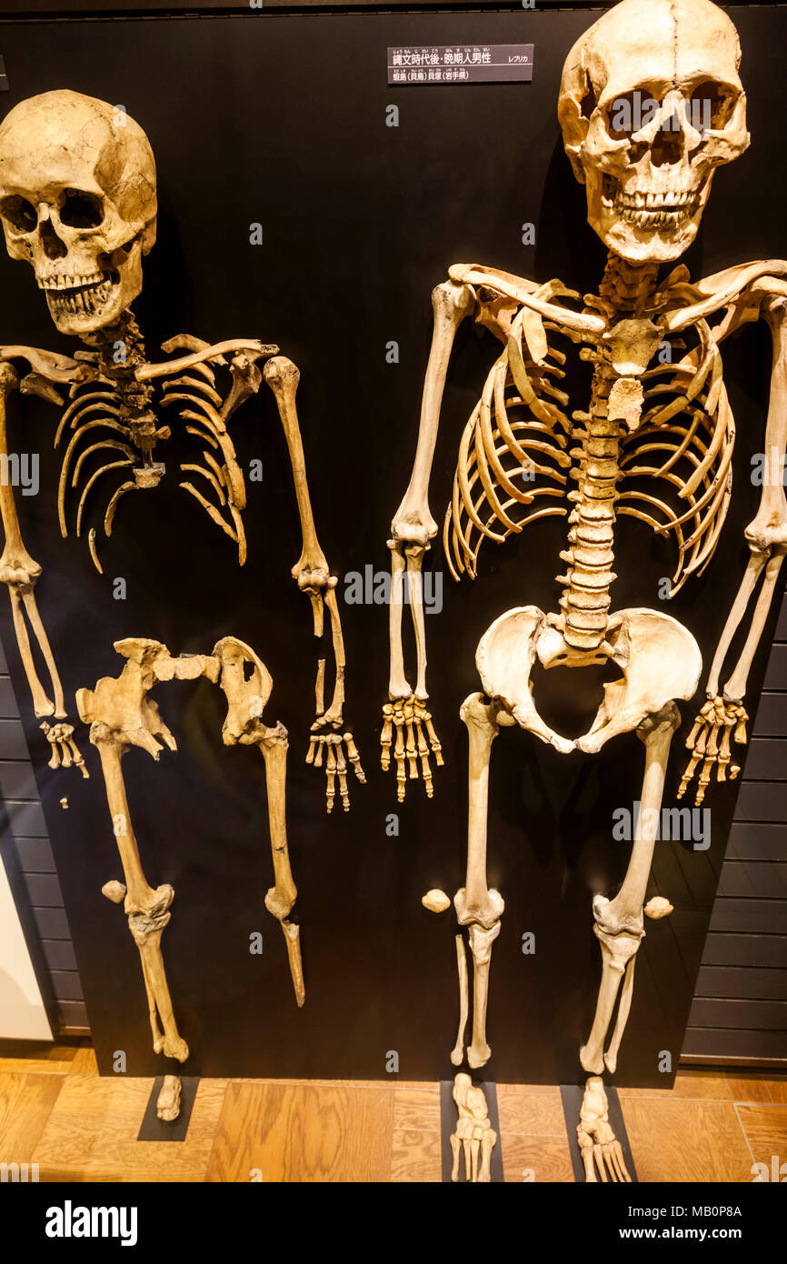 Japan, Honshu, Tokyo, Ueno Park, National Museum of Nature and Science ...