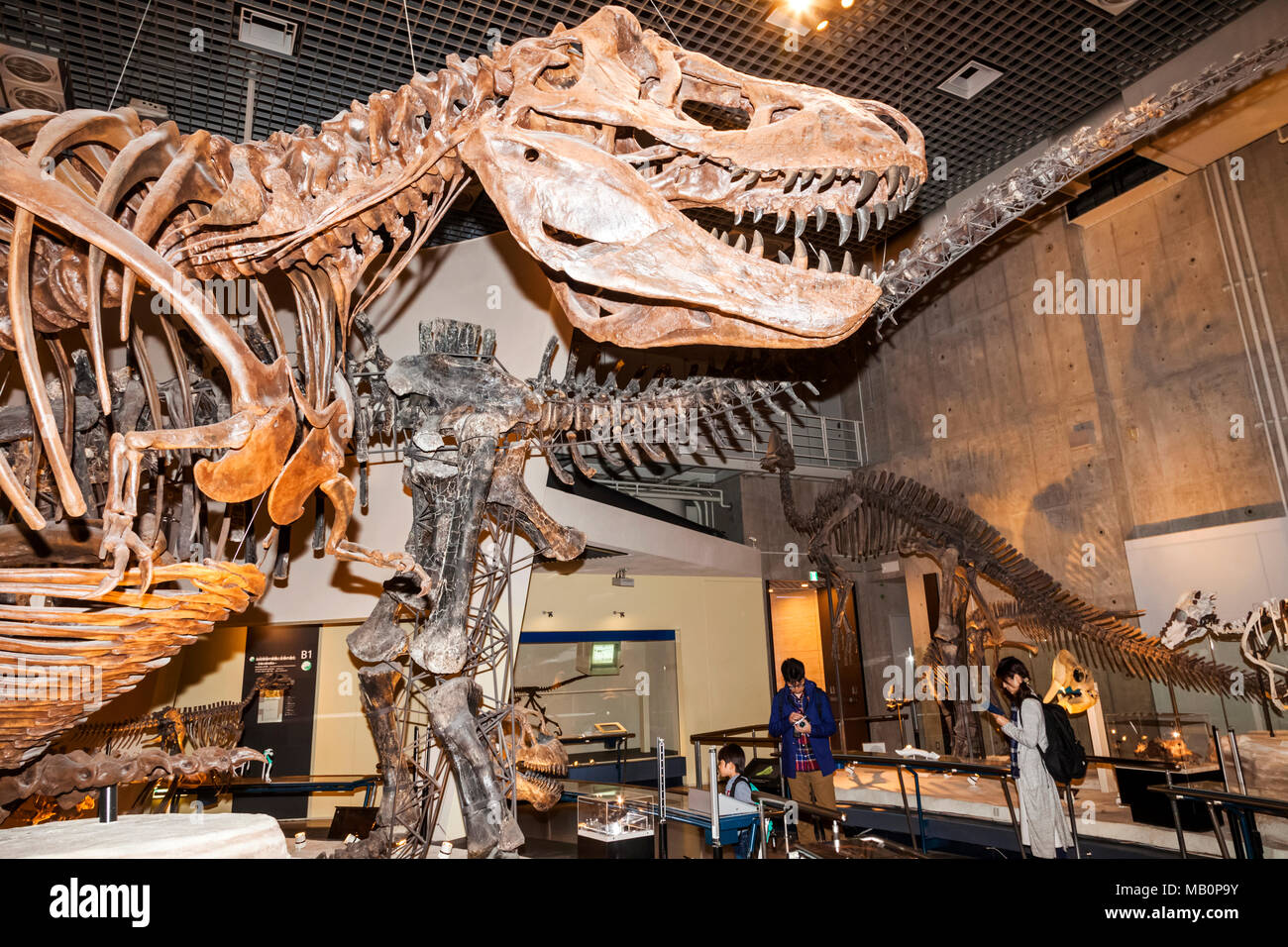 Japan, Honshu, Tokyo, Ueno Park, National Museum of Nature and Science ...
