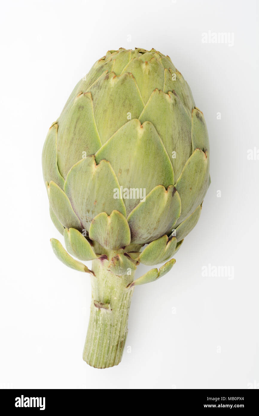 Alcachofa hi-res stock photography and images - Alamy